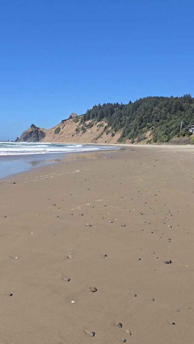 Why Summer and Fall Rockhounding is Tougher on the Oregon Coast – Rock ...